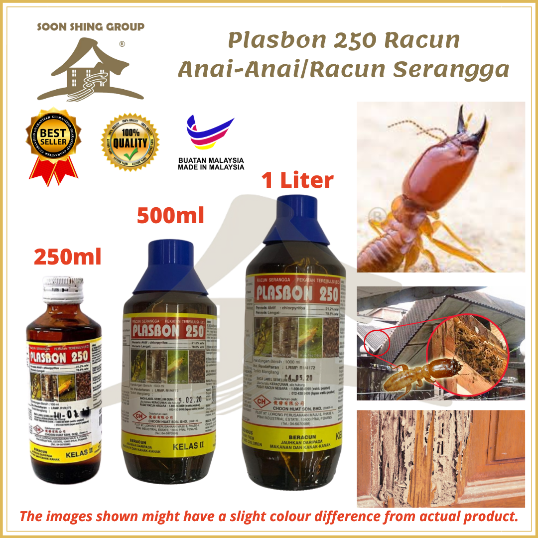 Racun Serangga in English - LucianorilloHarrell